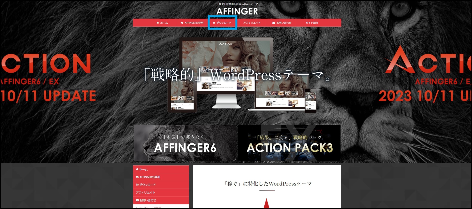 【初心者必見！】AFFINGER6のインストール手順と初期設定